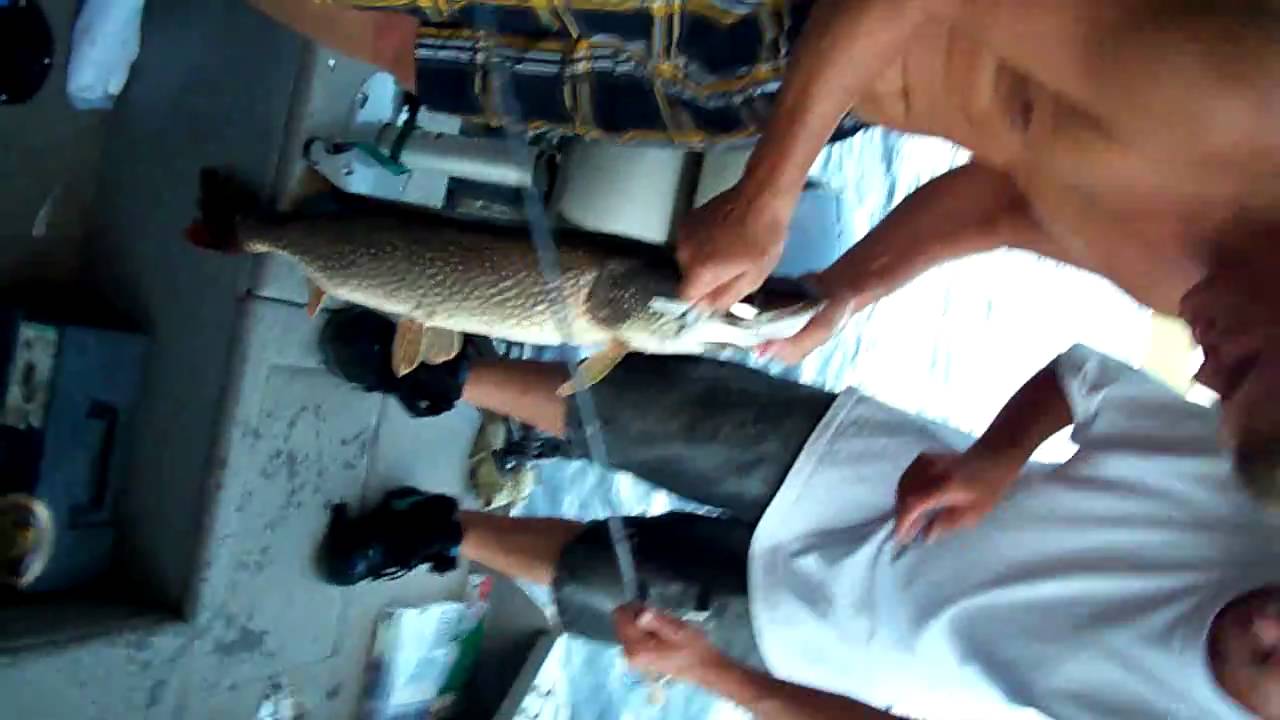 2010 St. Croix 37 inch Pike - YouTube