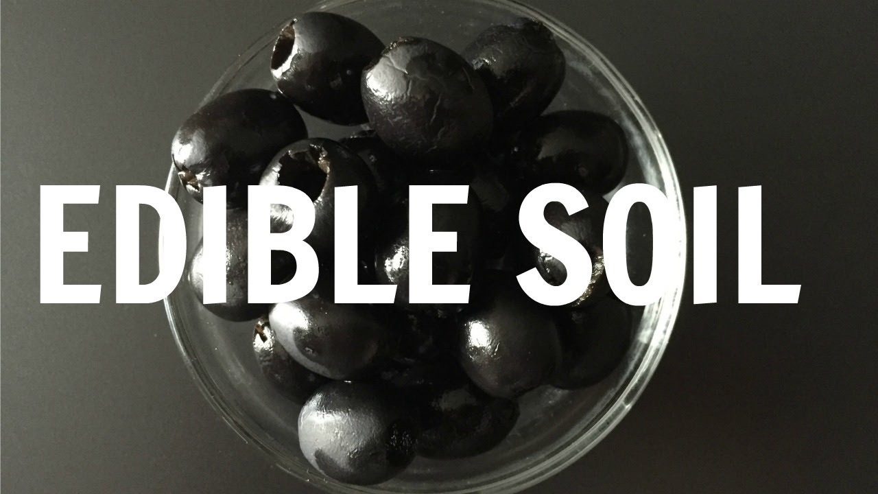 Edible Soil // Olive Soil // Dehydrator Recipe // Vegan // Breaking ...