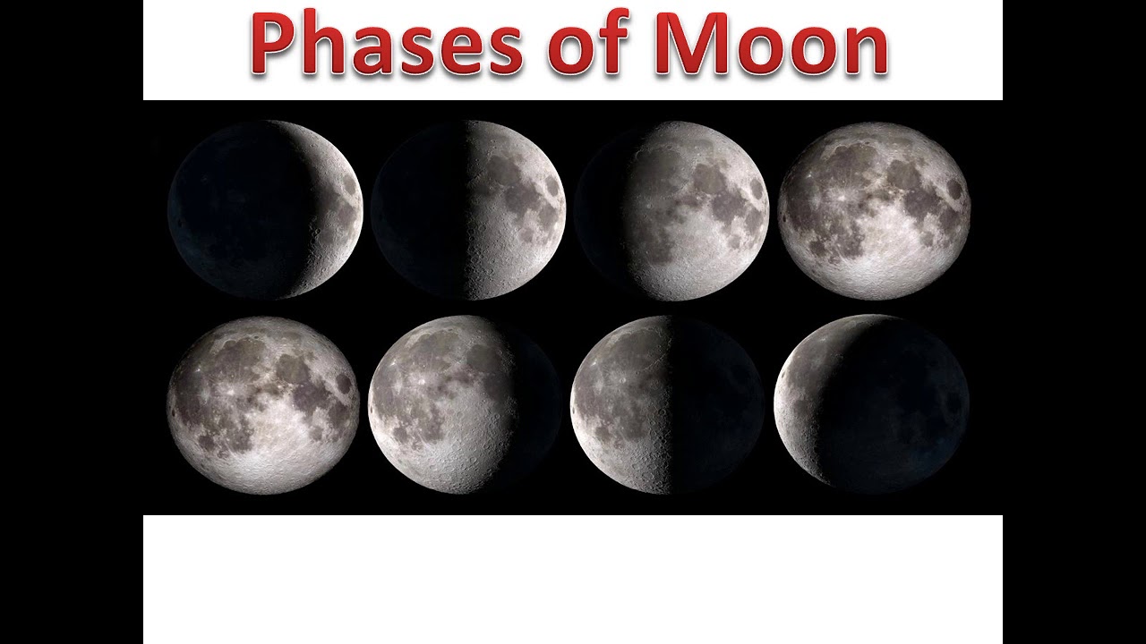 The Night Sky - Science For Grade 1 - YouTube