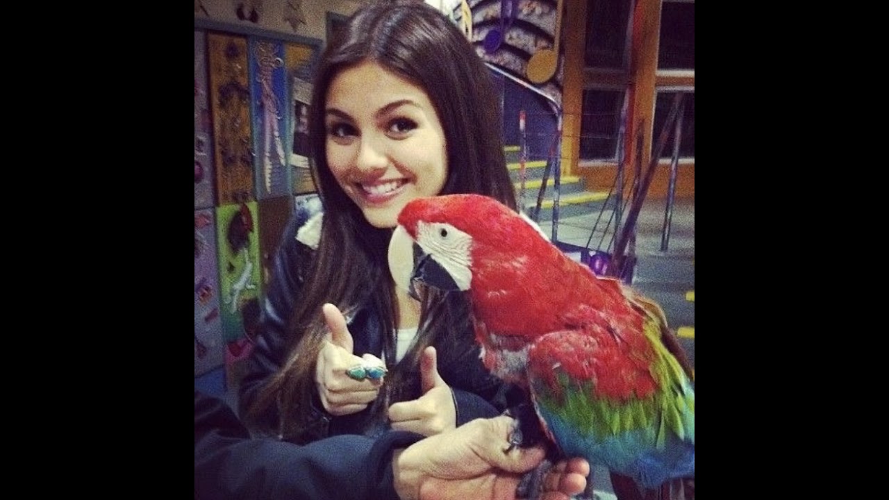 Junna Live Stream - YouTube