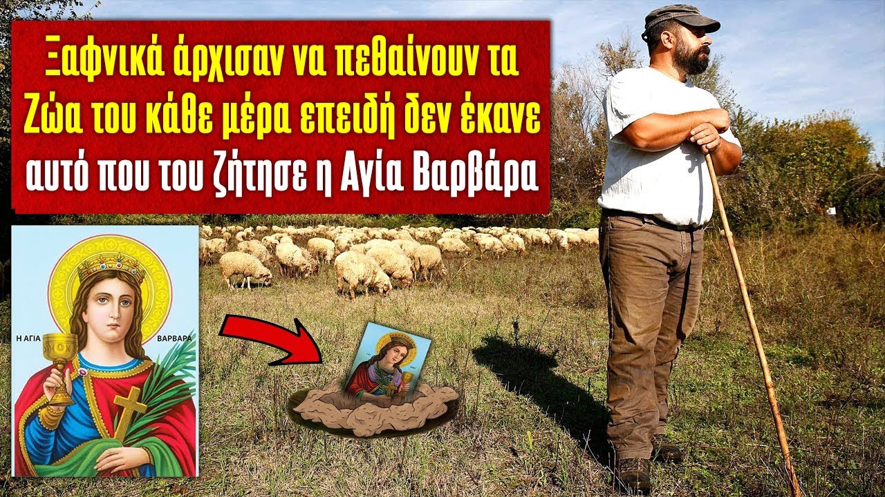 ΚΑΘΕ ΜΕΡΑ ΠΕΘΑΙΝΑΝ ΤΑ ΠΡΟΒΑΤΑ ΤΟΥ ΕΠΕΙΔΗ ΠΑΡΑΚΟΥΣΕ ΤΗΝ ΑΓΙΑ ΒΑΡΒΑΡΑ ...