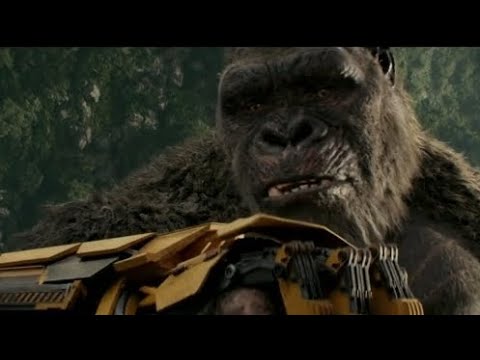KONG BEAST GLOVE SCENE | GODZILLA X KONG: THE NEW EMPIRE - YouTube