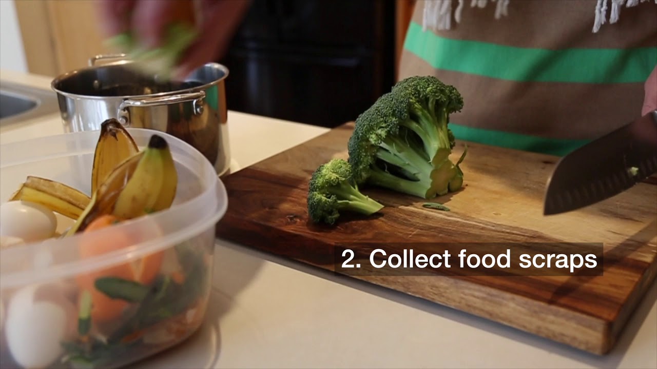 What's Accepted in the Food Scrap Program - YouTube