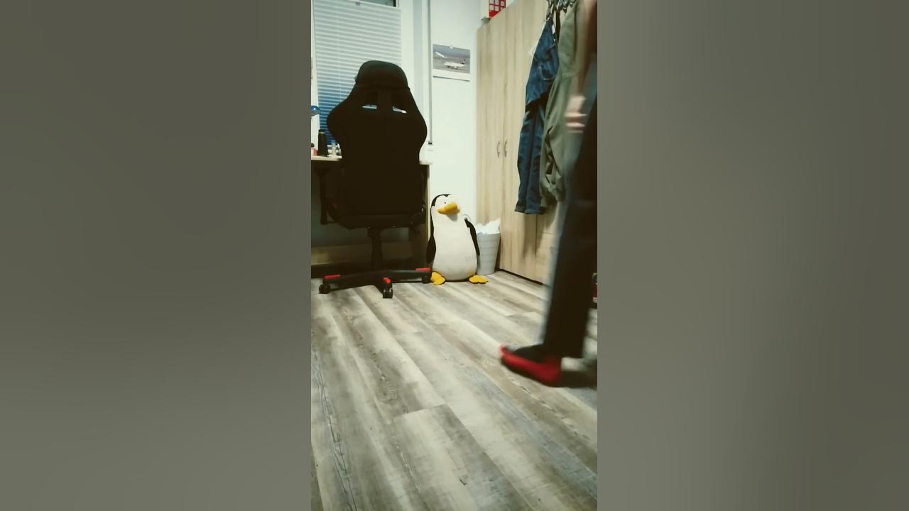 Info zum Flugzeug + Spritze für Minion und Kowalski - YouTube