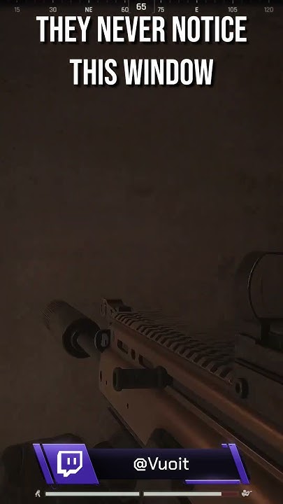 They always forget this window exists #arenabreakoutinfinite #gaming # ...