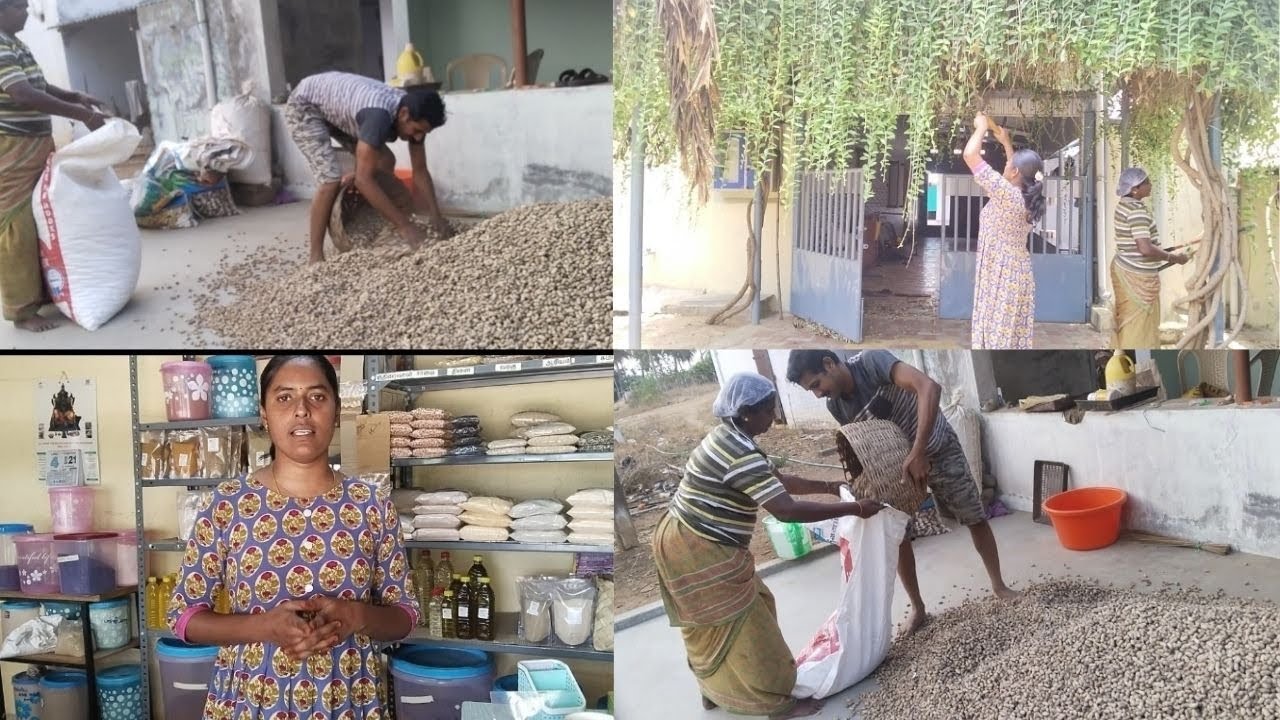 RSK MILL day Routine / House gardening / Groundnut purchase from farms ...