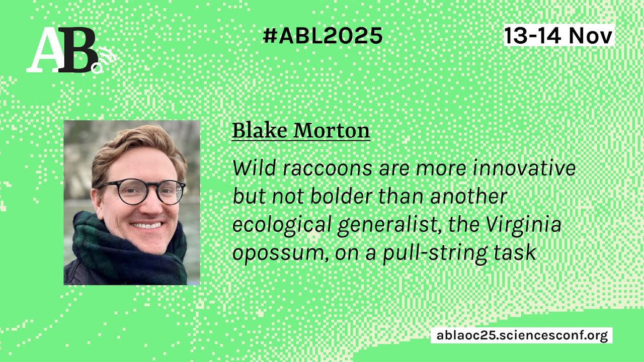 ABL:AOC 2025 Session 5 Talk 3 / Blake Morton - YouTube