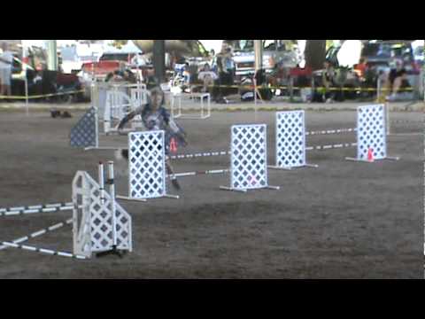 Cool Critters Dapper team jumpers 10 2 11 - YouTube