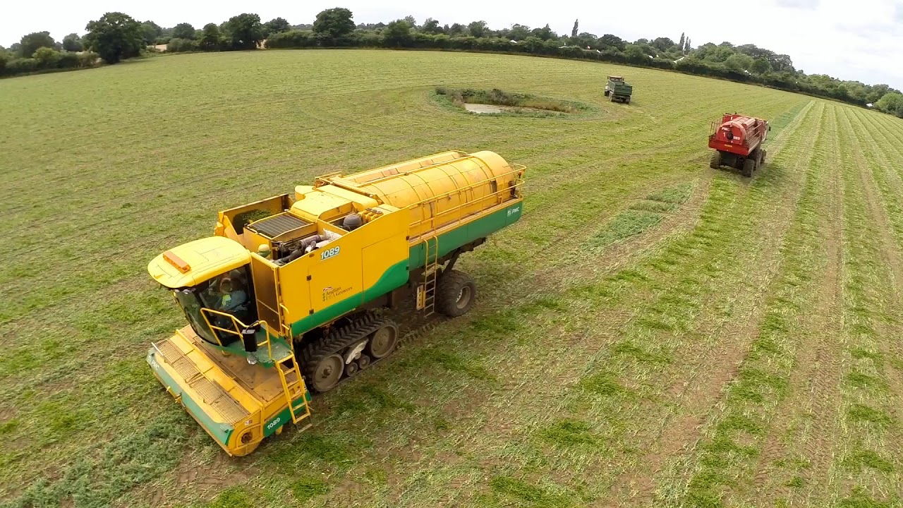 PEA VINERS FROM THE AIR - YouTube