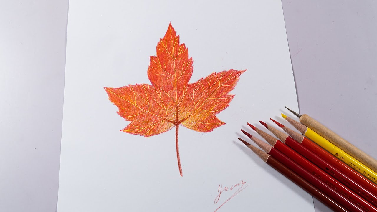 Maple Leaf painting | Fall painting | colored pencils drawing | Step by ...