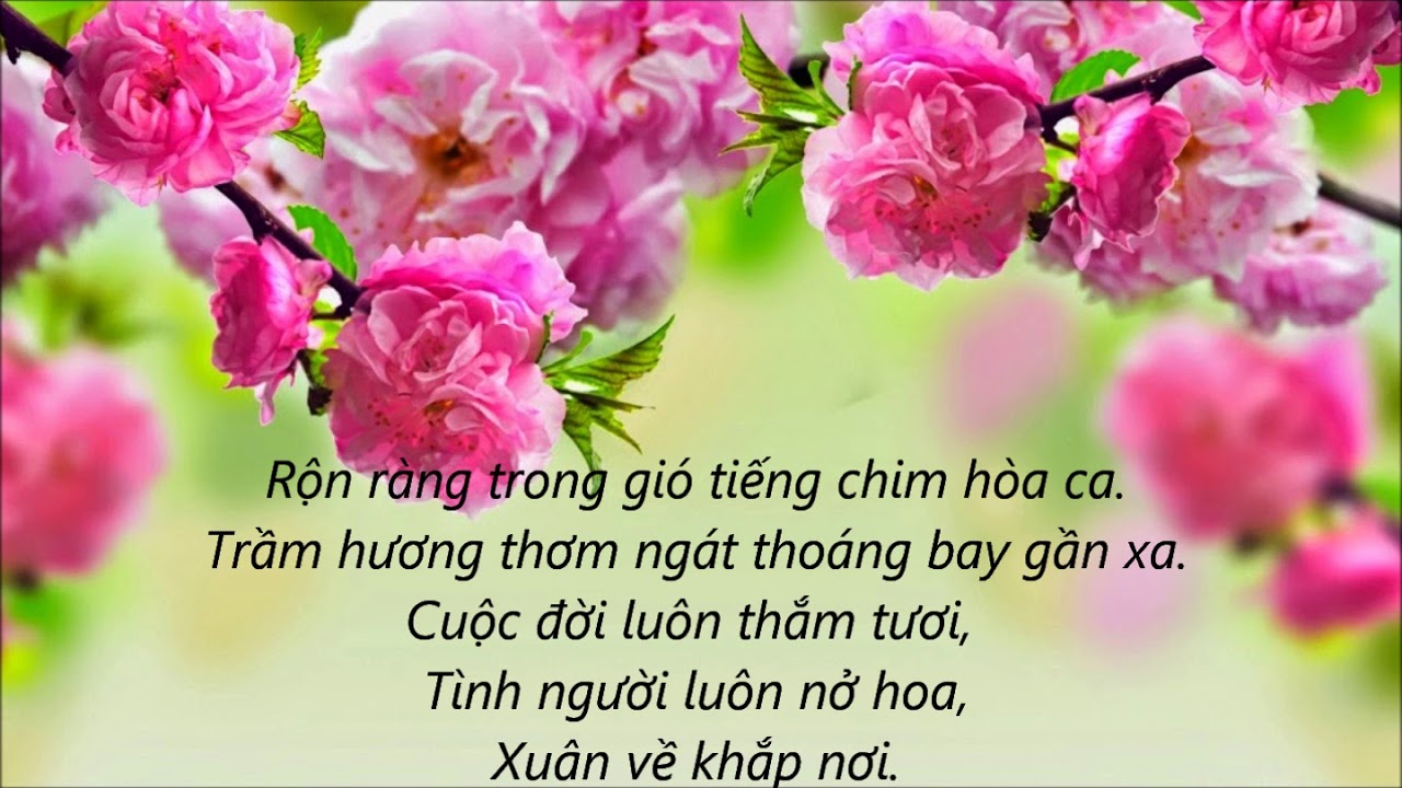 Mung Xuan Moi - Y Lan 2018 - YouTube