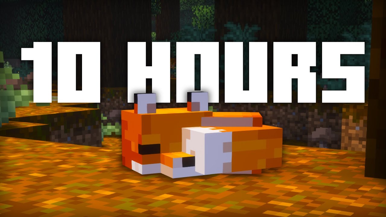 10 Hours of a Fox Sleeping in The Woods - YouTube