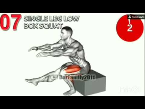 ƏN YAXSI BEDEN MESQLERI.Best Glutes Hamistringis Quadriceps Calves Exercises