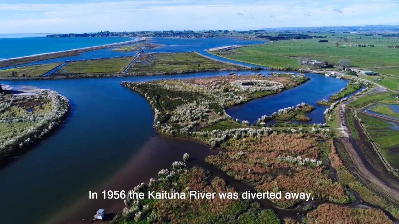 2020 NZPI Award Winner - YouTube