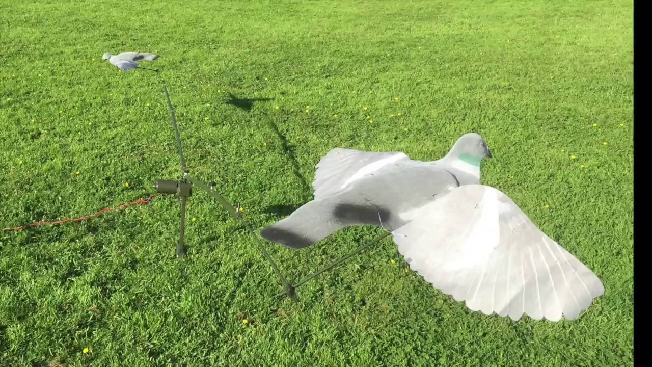 2 ARM & 3 ARM MEGA PIGEON MAGNET - YouTube