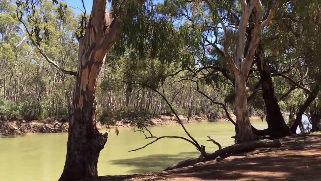 Barham Lakes Murray View Caravan Park - Barham NSW - YouTube