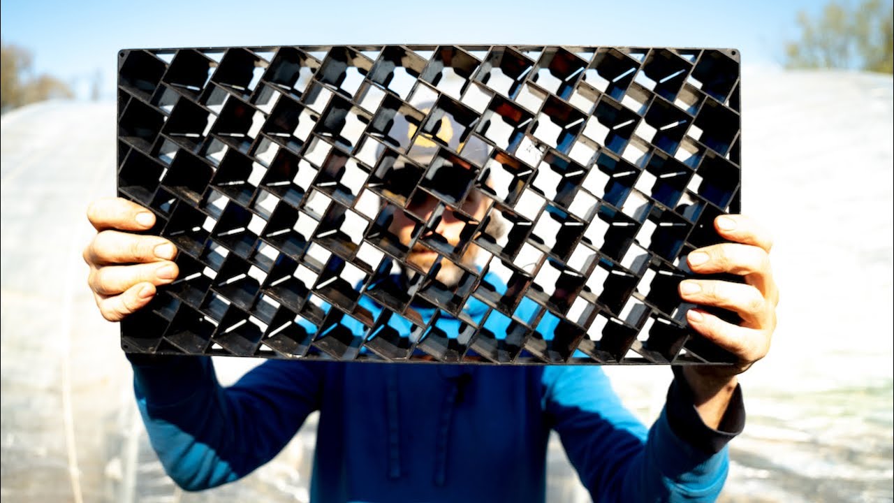 Are Winstrips Worth It? - YouTube