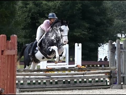 Signal Paint in Jumpers - YouTube