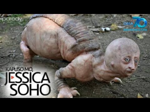 Kapuso Mo Jessica Soho | May Undin sa inidoro.? - YouTube