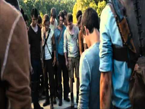 The Maze Runner   Im So Sorry