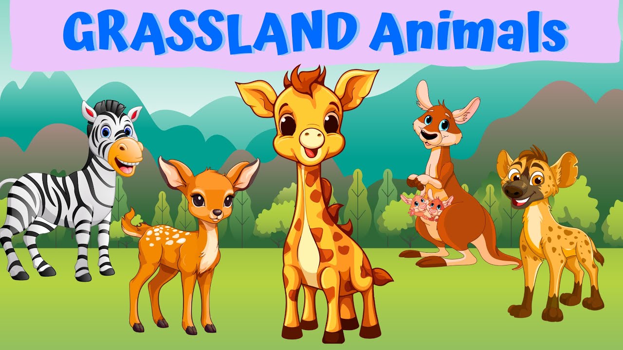 Discover the MOST FASCINATING Grassland Animals for Kids - YouTube