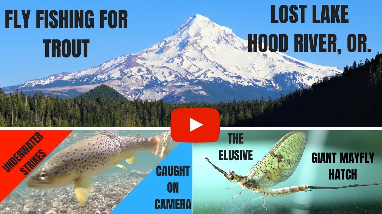 Lost Lake Trout Fishing In July - YouTube