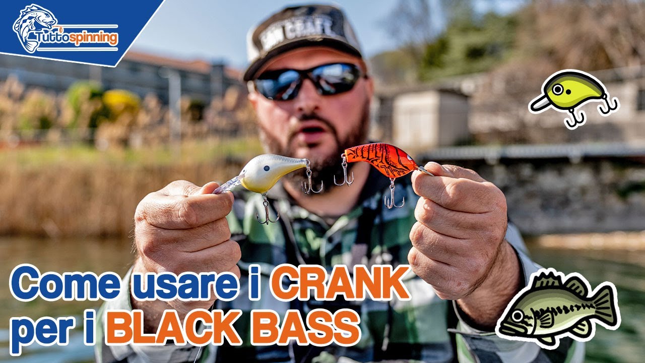Come pescare i BLACK BASS con gli SHALLOW CRANK - YouTube