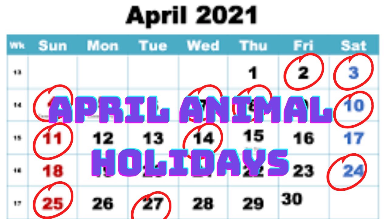 APRIL MONTH ANIMAL HOLIDAYS||ANIMAL HOLIDAYS||APRIL ANIMAL HOLIDAYS ...