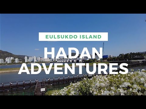 4K HADAN ADVENTURE (eulsukdo island) BUSAN SOUTH KOREA - YouTube