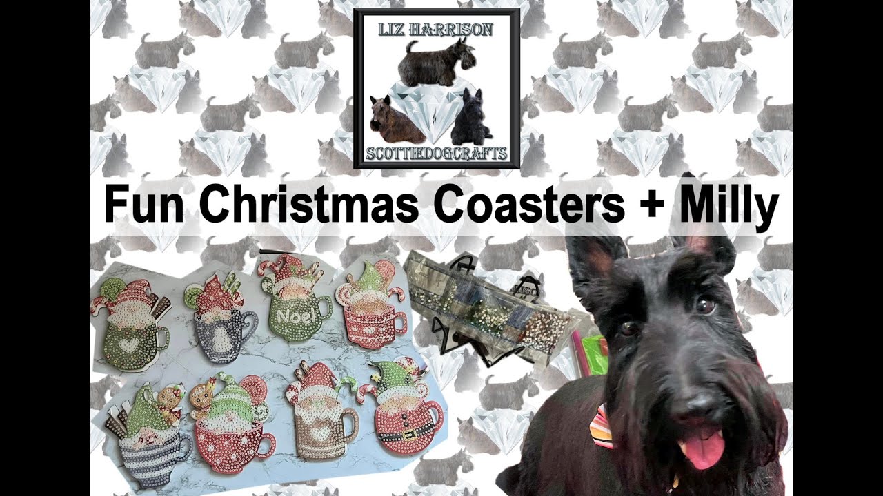 Diamond Painting | UNBOXING | Amazon | Christmas Gnome/Gonk Coasters ...