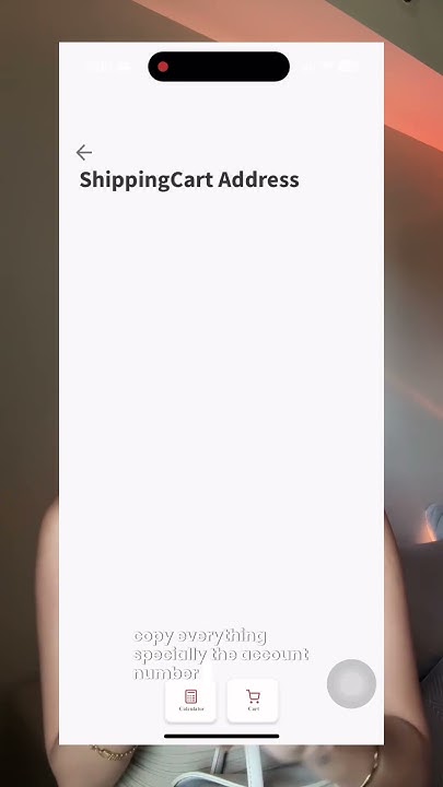 ShippingCart Haul with Alex O: Freja Bag from US! - YouTube