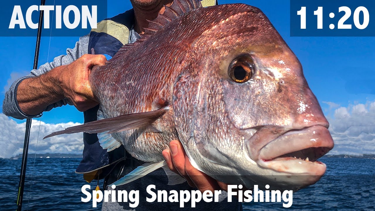 Spring Snapper Fishing - YouTube