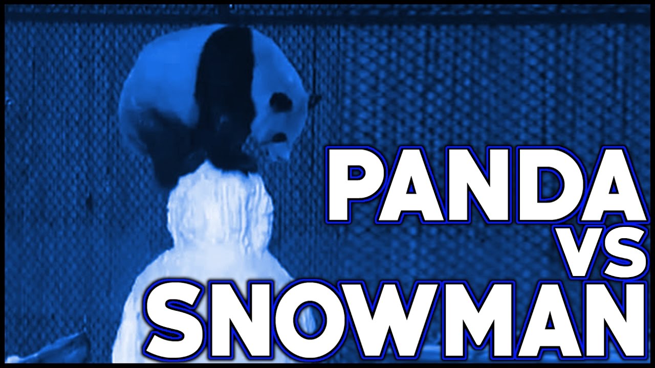 Panda Bear Has Fun With A Snowman In Toronto's Zoo - YouTube