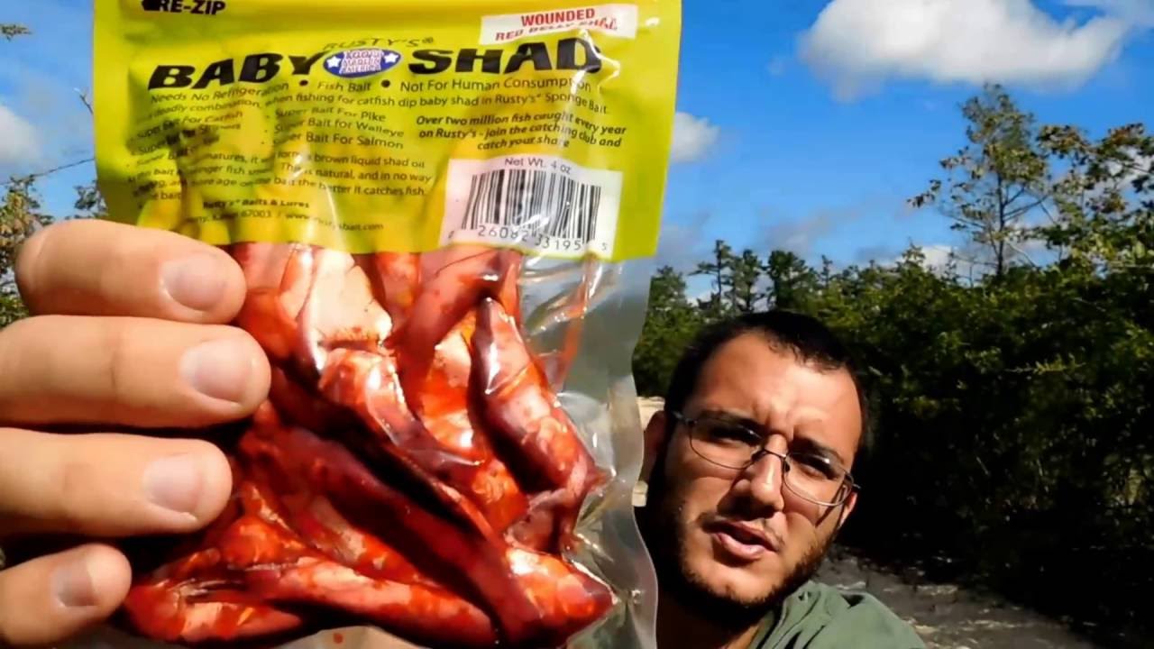 Mystery tackle box August 2016 (Catfish) - YouTube