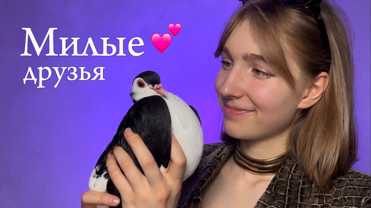 МОИ САМЫЕ МИЛЫЕ ДРУЗЬЯ НА СВЕТЕ Обзор моих артистов музыка песня