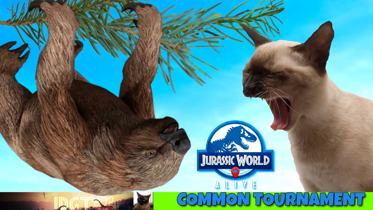 SLOTHS 🦥 & SPEED TIES @ THE SKILL TOURNAMENT | Jurassic World Alive ...