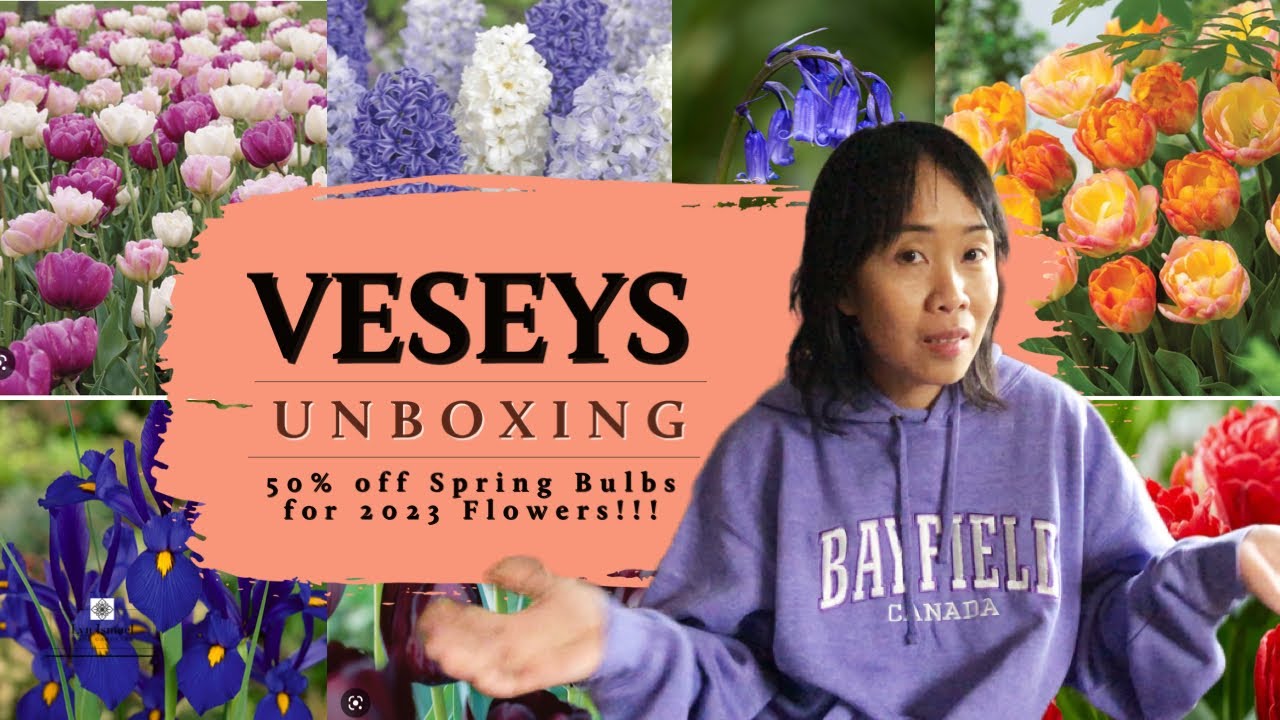 Veseys Unboxing | 50% Off Spring Bulbs for 2023 Flowers! | Round 2 of ...
