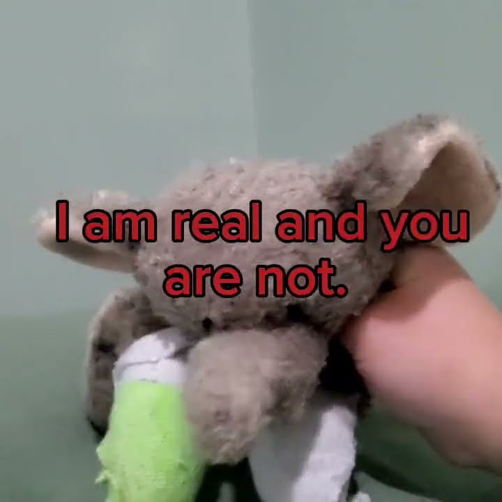 I am real and you are not. #essa #emotionalsupportstuffedanimal # ...