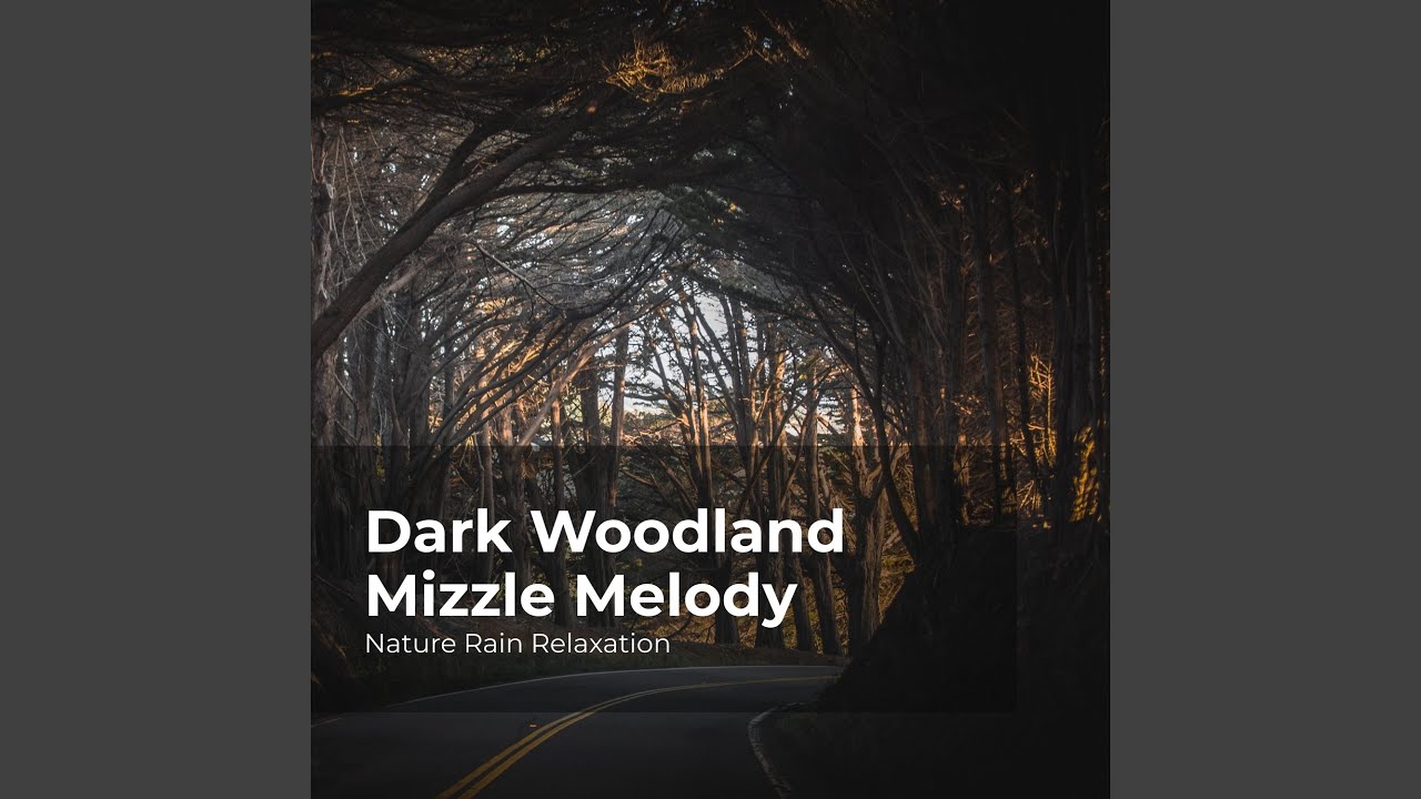 Introspective Nature Rain - YouTube