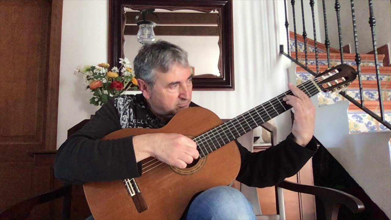 L'arlequí - Damià Timoner - YouTube