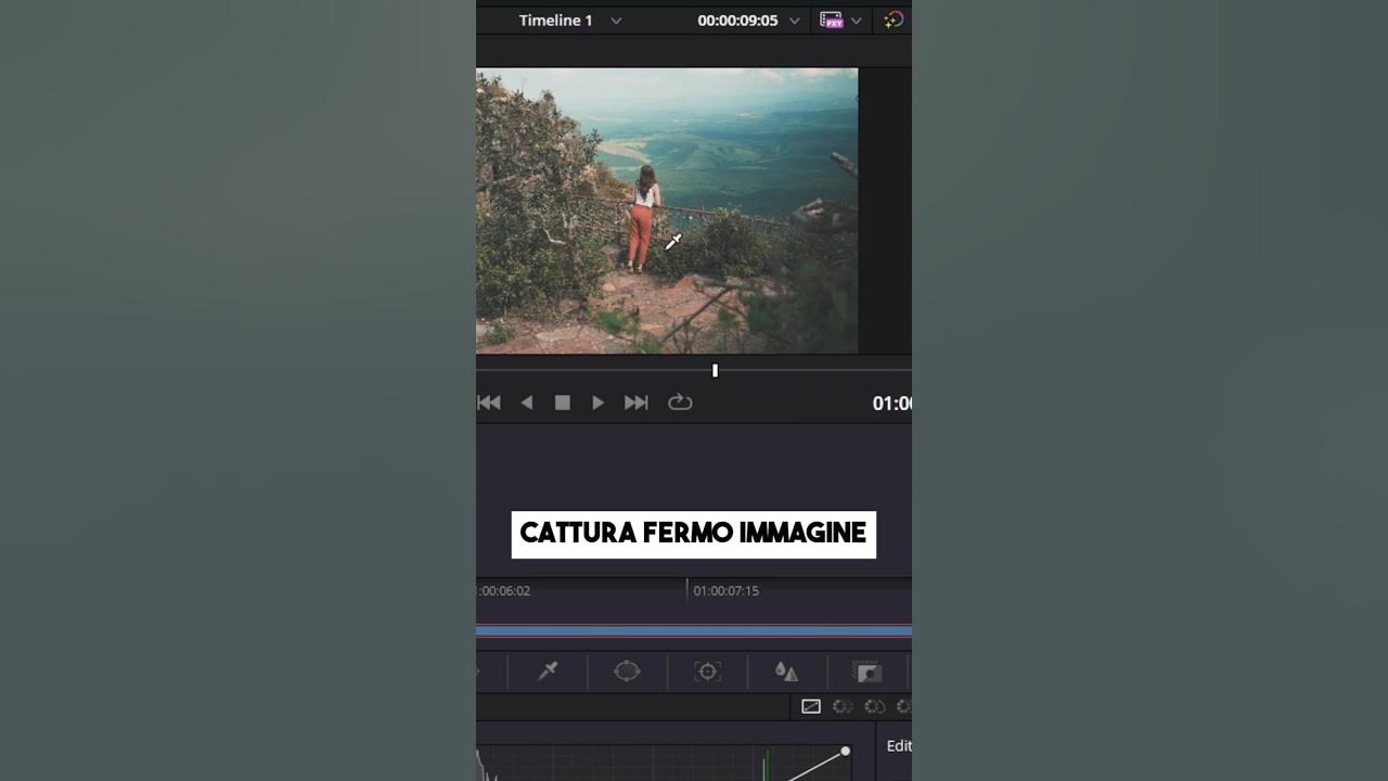 Esportare un solo fotogramma in DaVinci Resolve - YouTube