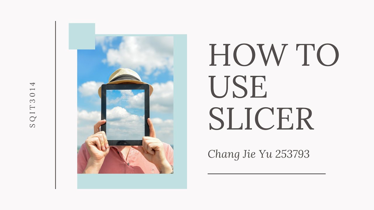 SQIT3014 COMPUTER AIDED DECISION MAKING (Group C) - How to use Slicer ...