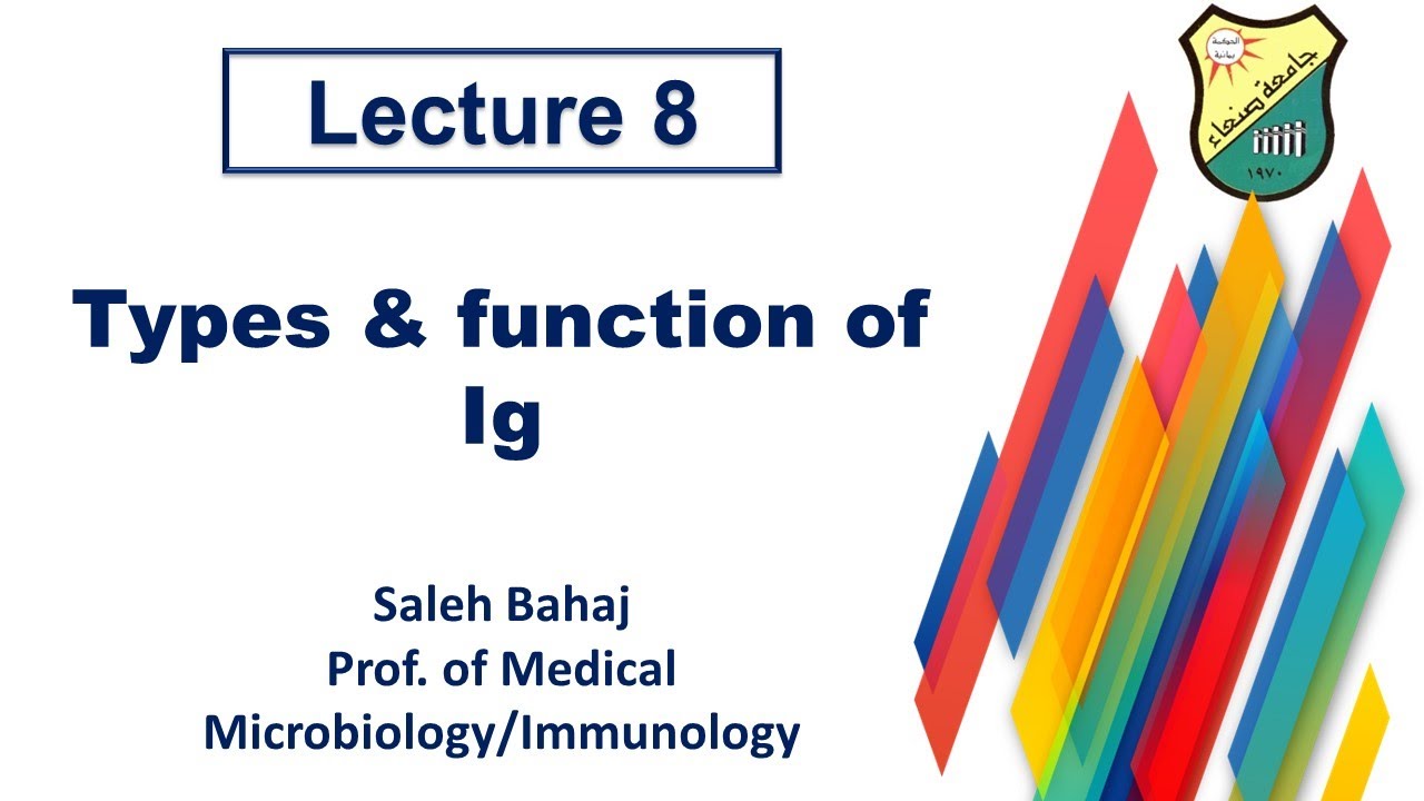 8 Types & function of Ig - YouTube