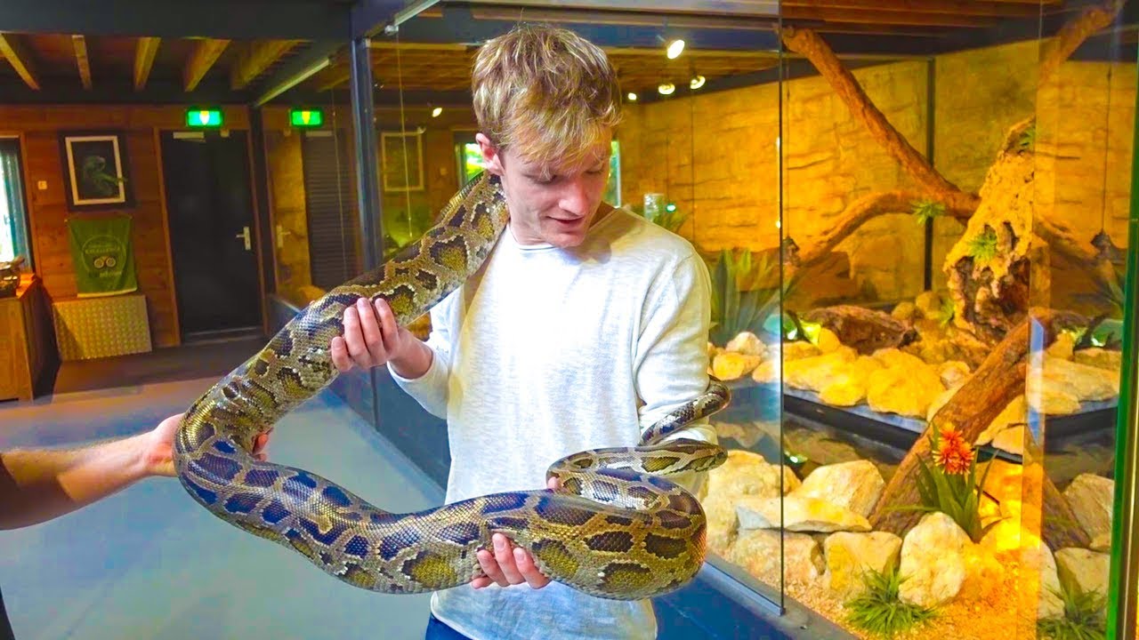 LEVENSGEVAARLIJKE SLANG VASTHOUDEN!! #1688 - YouTube