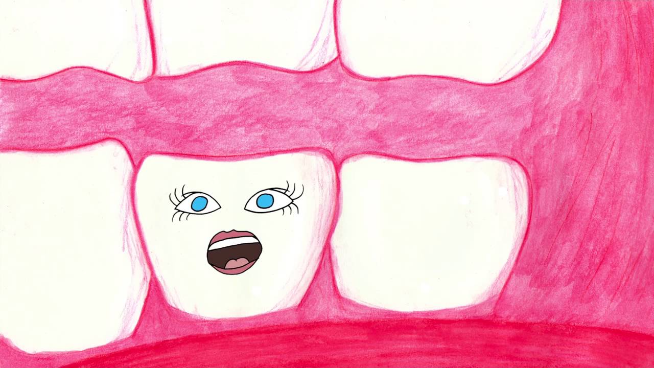'a visit to Bizarre Tooth Kingdom' - YouTube