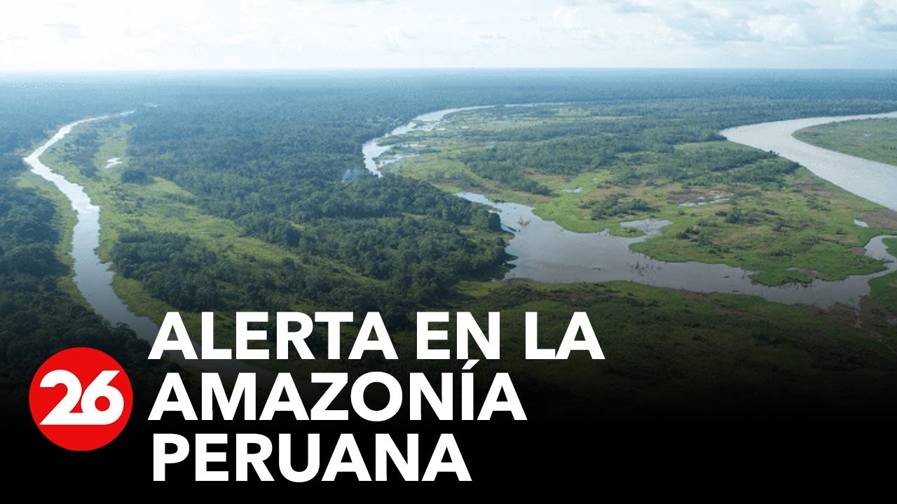 Perú perdió casi 140.000 hectáreas de bosques amazónicos en 2021 - YouTube