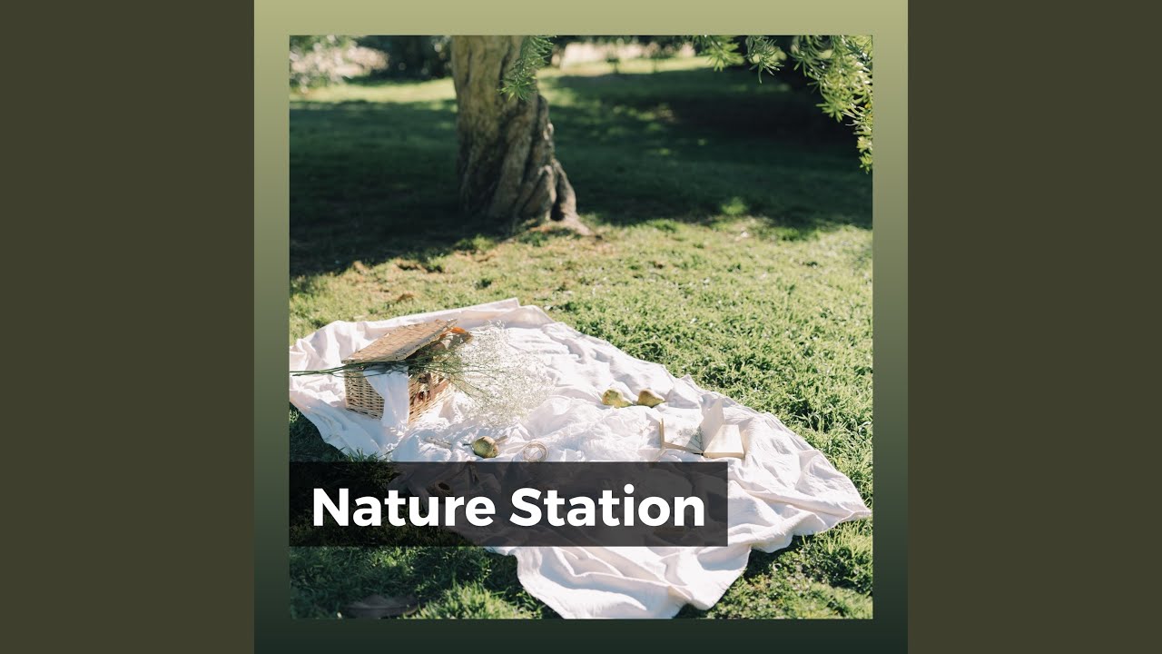 Calming Breeze, Pt. 14 - YouTube