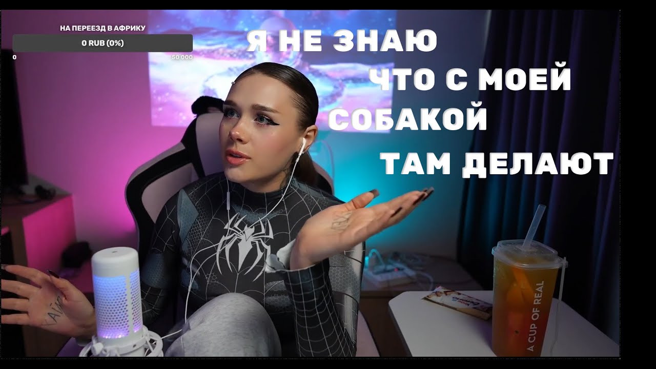 UNIPCORN РАССКАЗАЛА ПРО ПОХОД БЭЛЬ НА ГРУМИНГ - YouTube