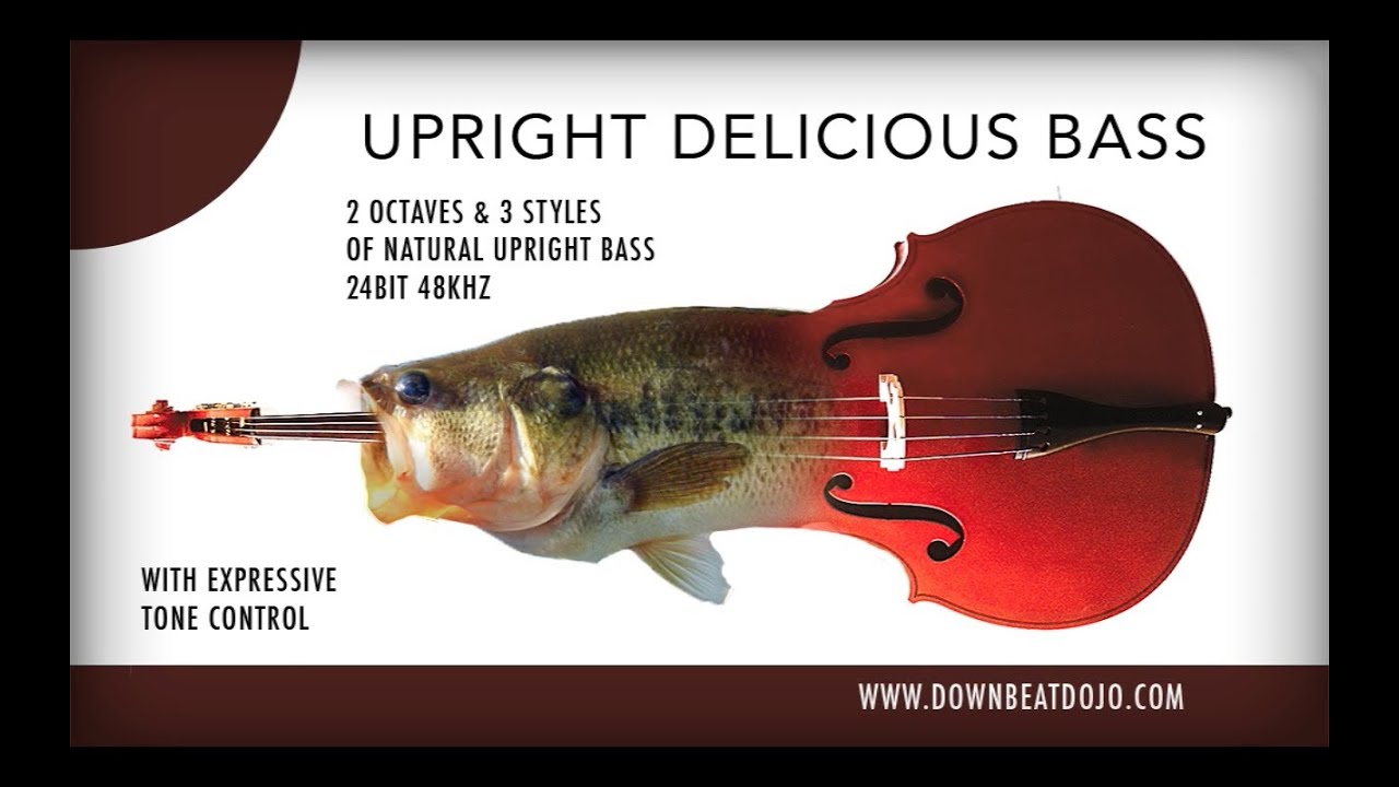 Upright Delicious Bass Kit! [Demo] - YouTube