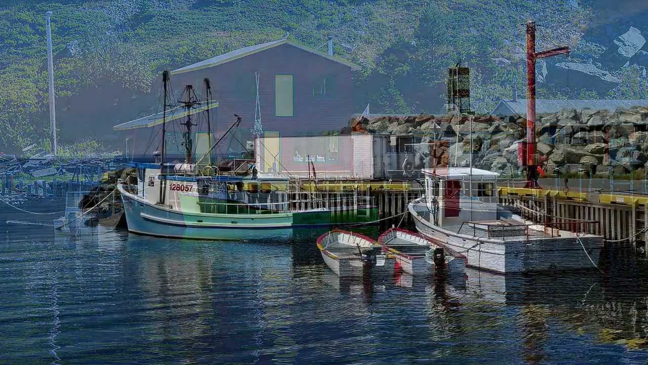 The Islander Song - YouTube